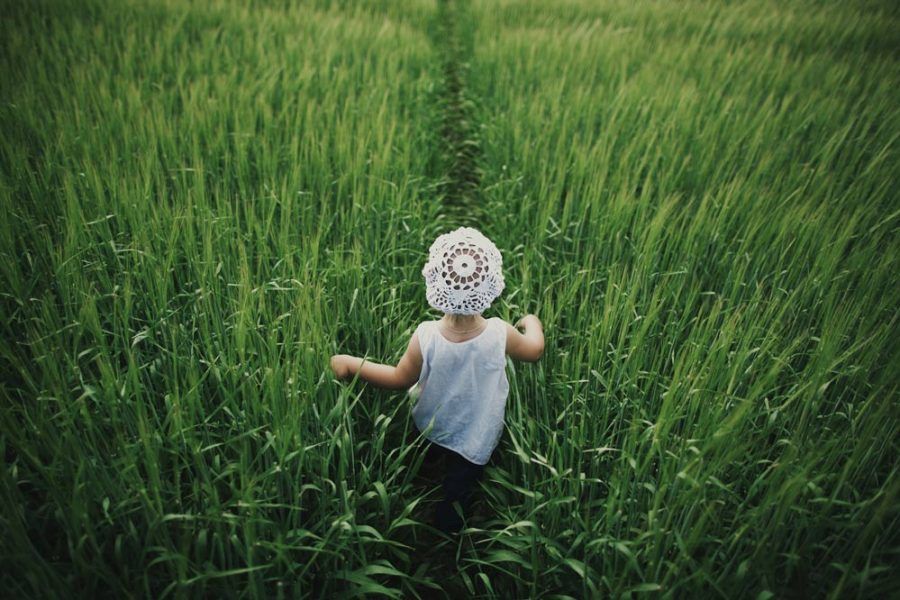 Corte de césped, ¿Cómo cortar el pasto en temporada de primavera?